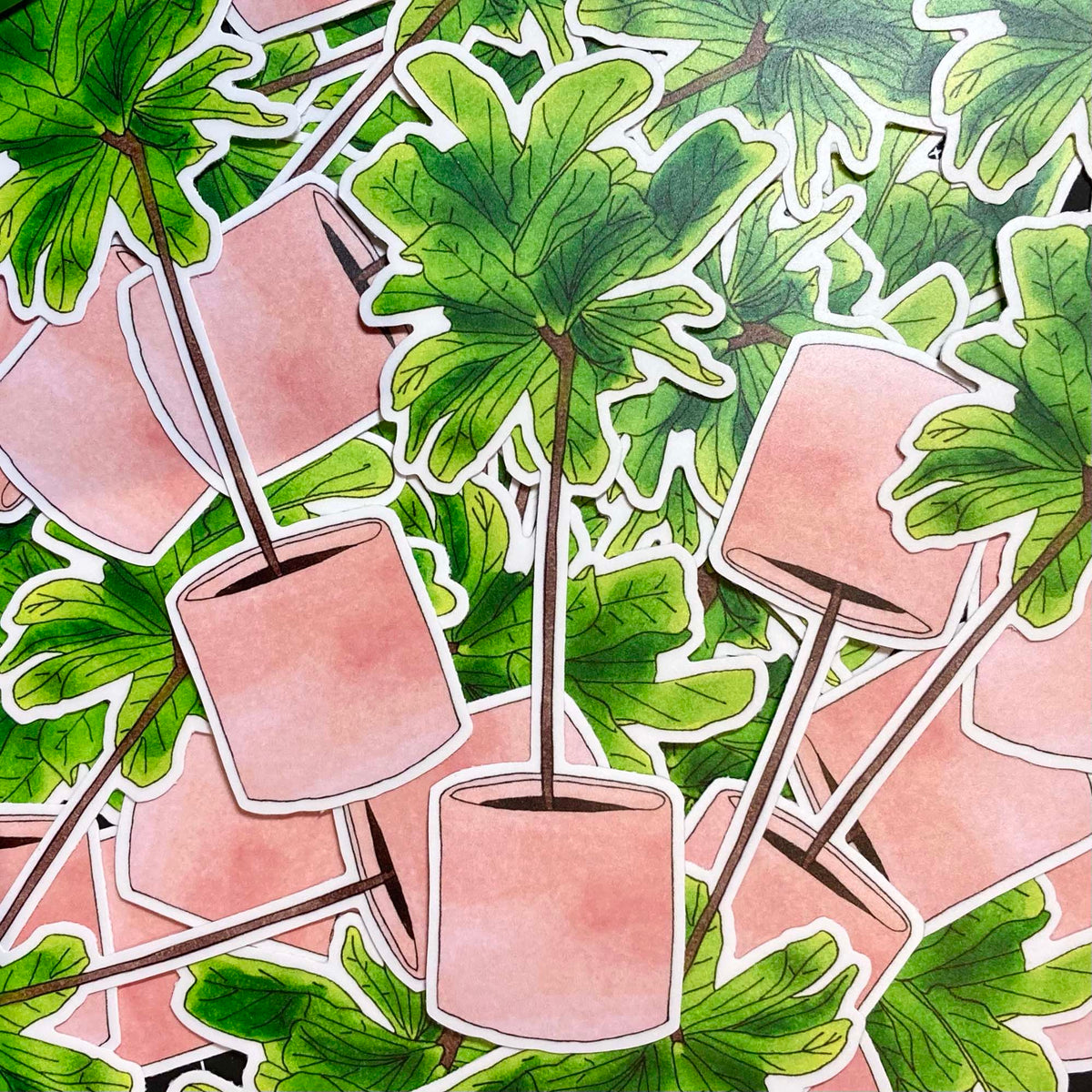 fiddle leaf fig sticker – The Juliet Report Store